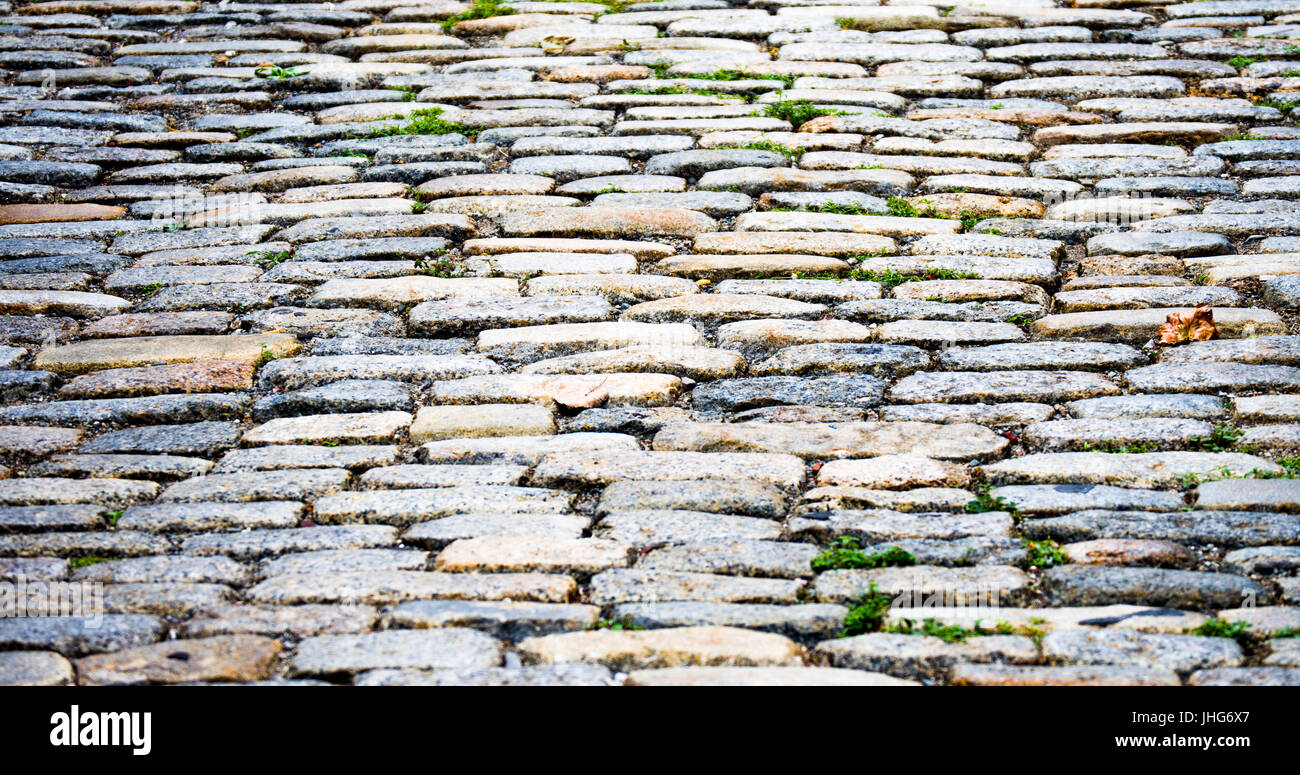 Cobblestone Path Background