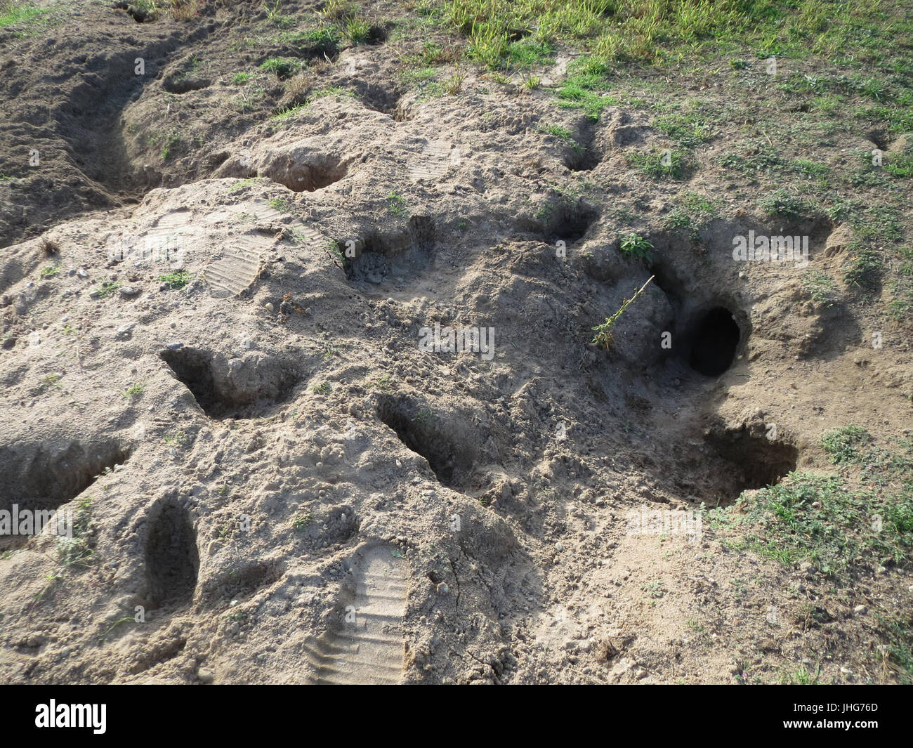 Kaninchenbau hi-res stock photography and images - Alamy