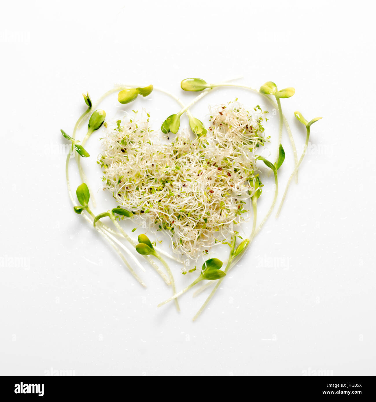 Lucerne sprout hi-res stock photography and images - Alamy