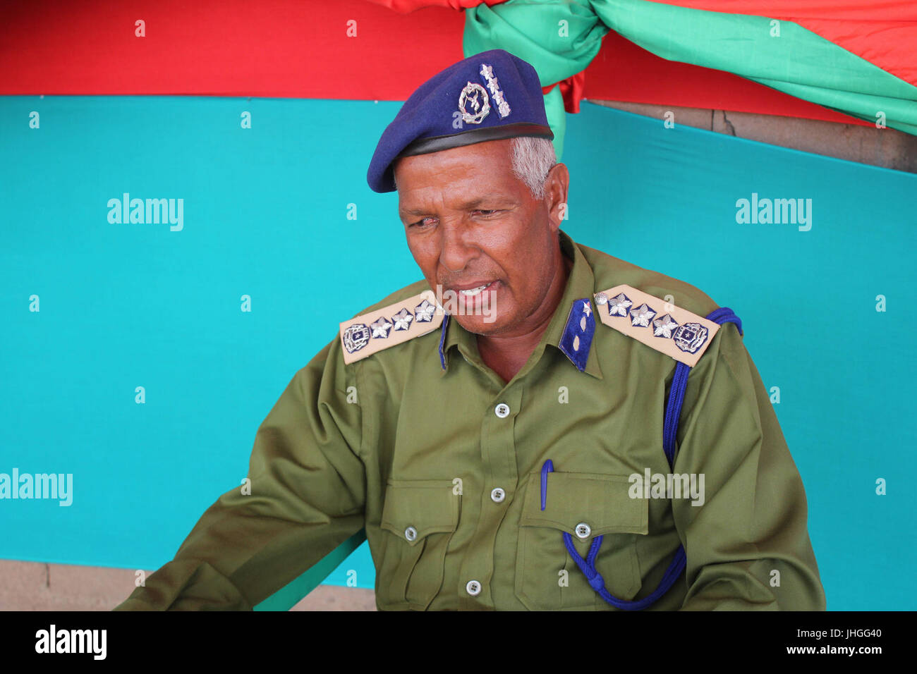 Vetting art hi-res stock photography and images - Alamy