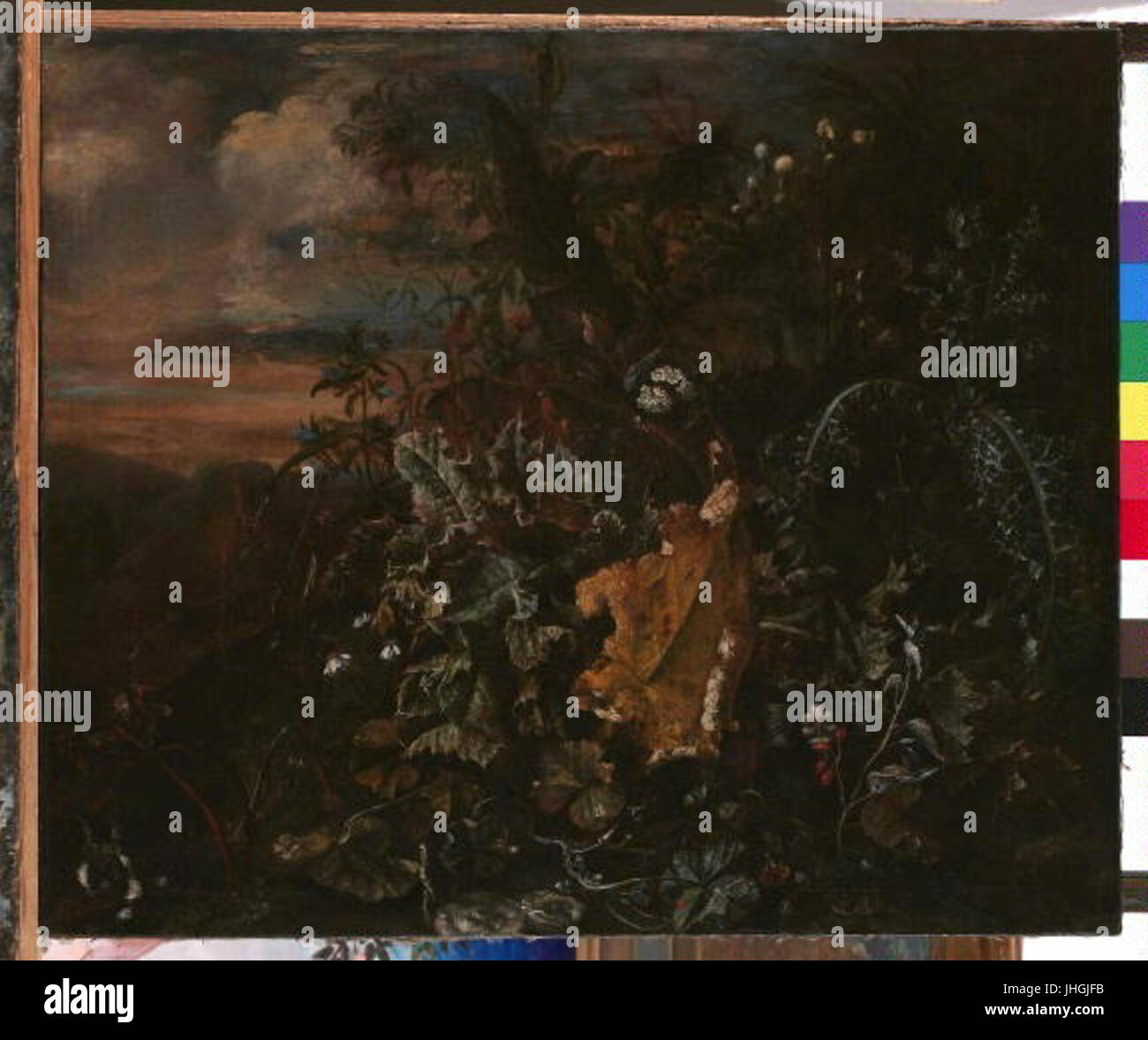 Matthias Withoos - Zatisi s bodlaky Stock Photo - Alamy