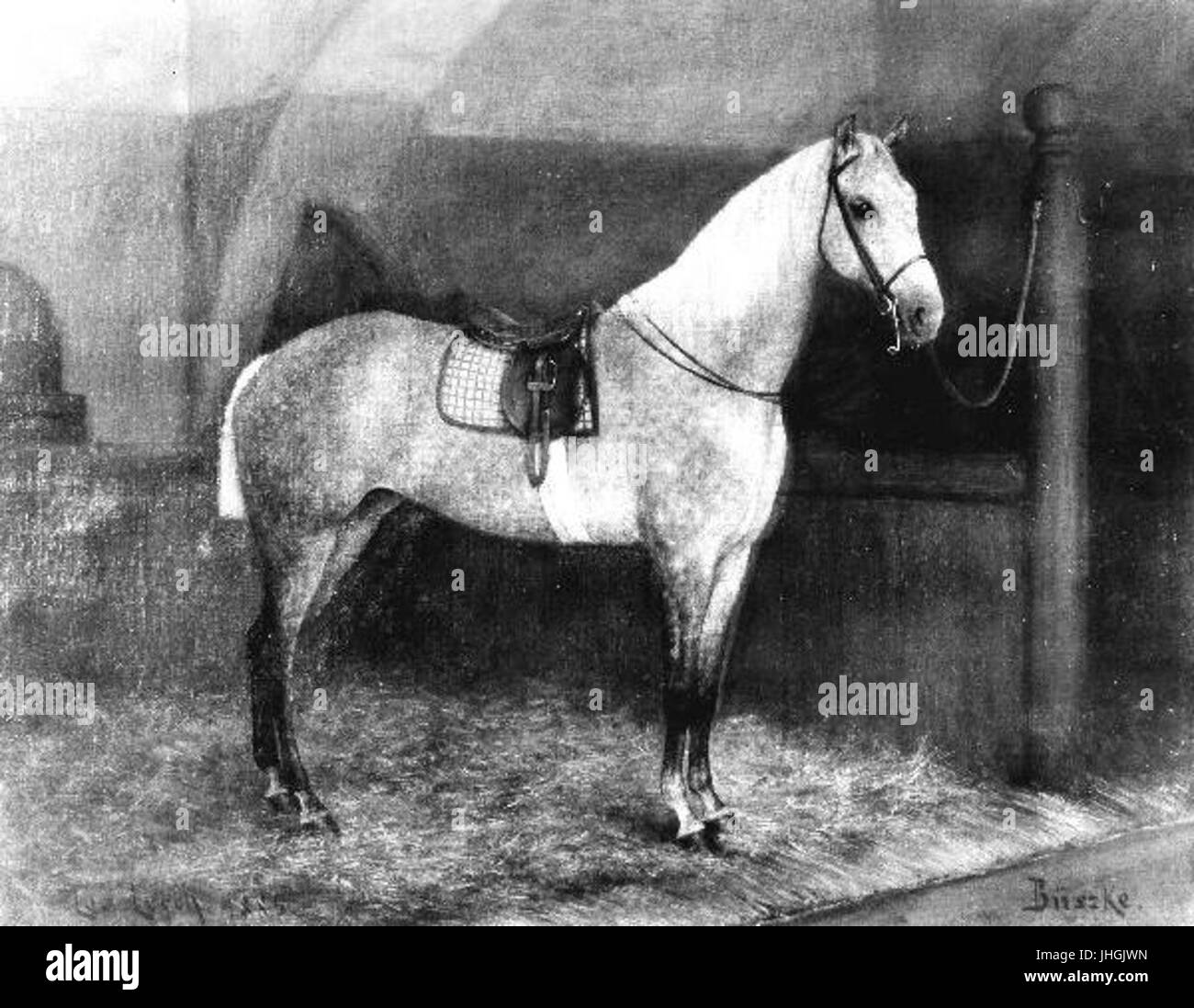 Lev Lerch 1856-1892 - Jezdecky kun Buszke Stock Photo - Alamy