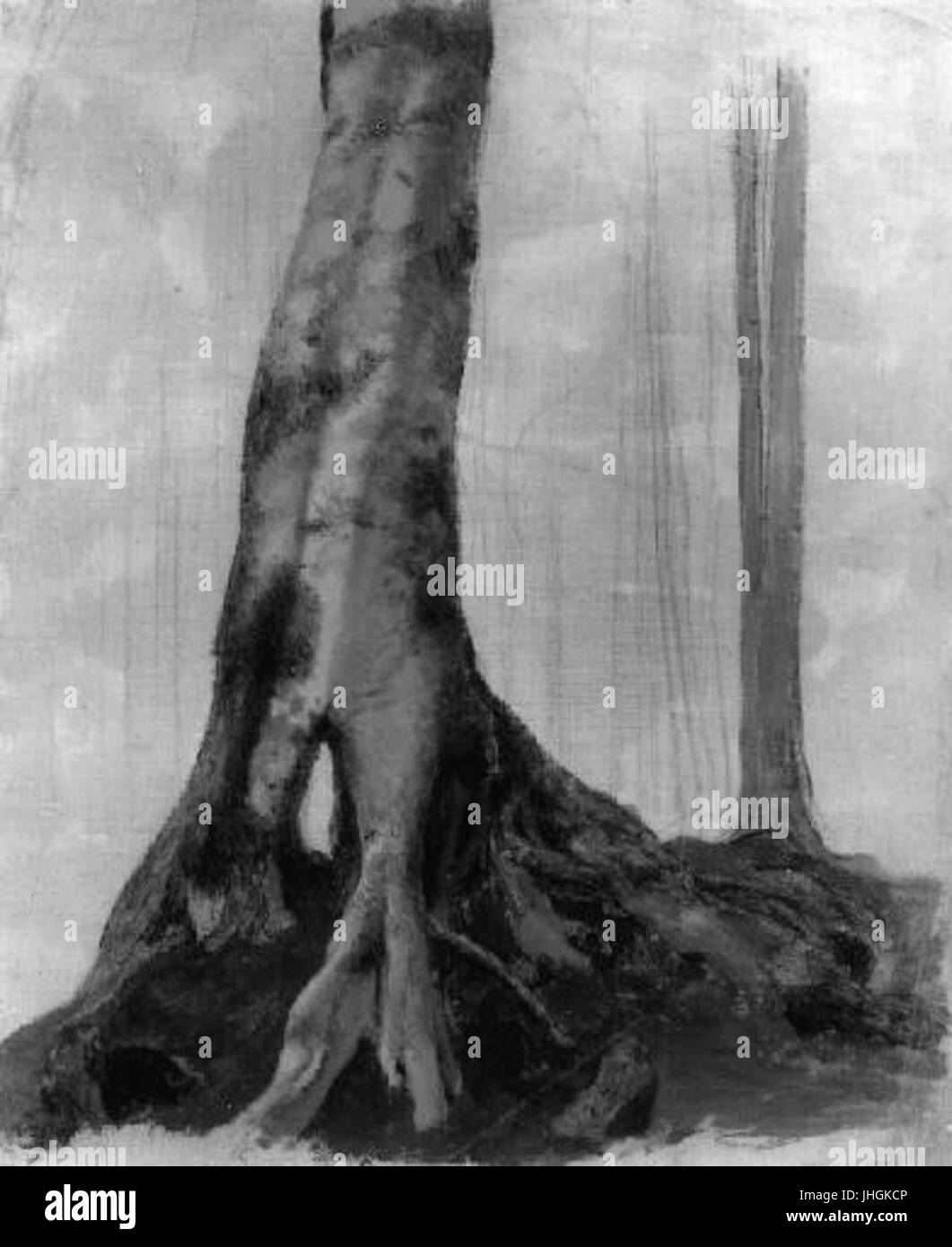 Josef Manes 1820-1871 - Studie bukoveho kmenu Stock Photo - Alamy