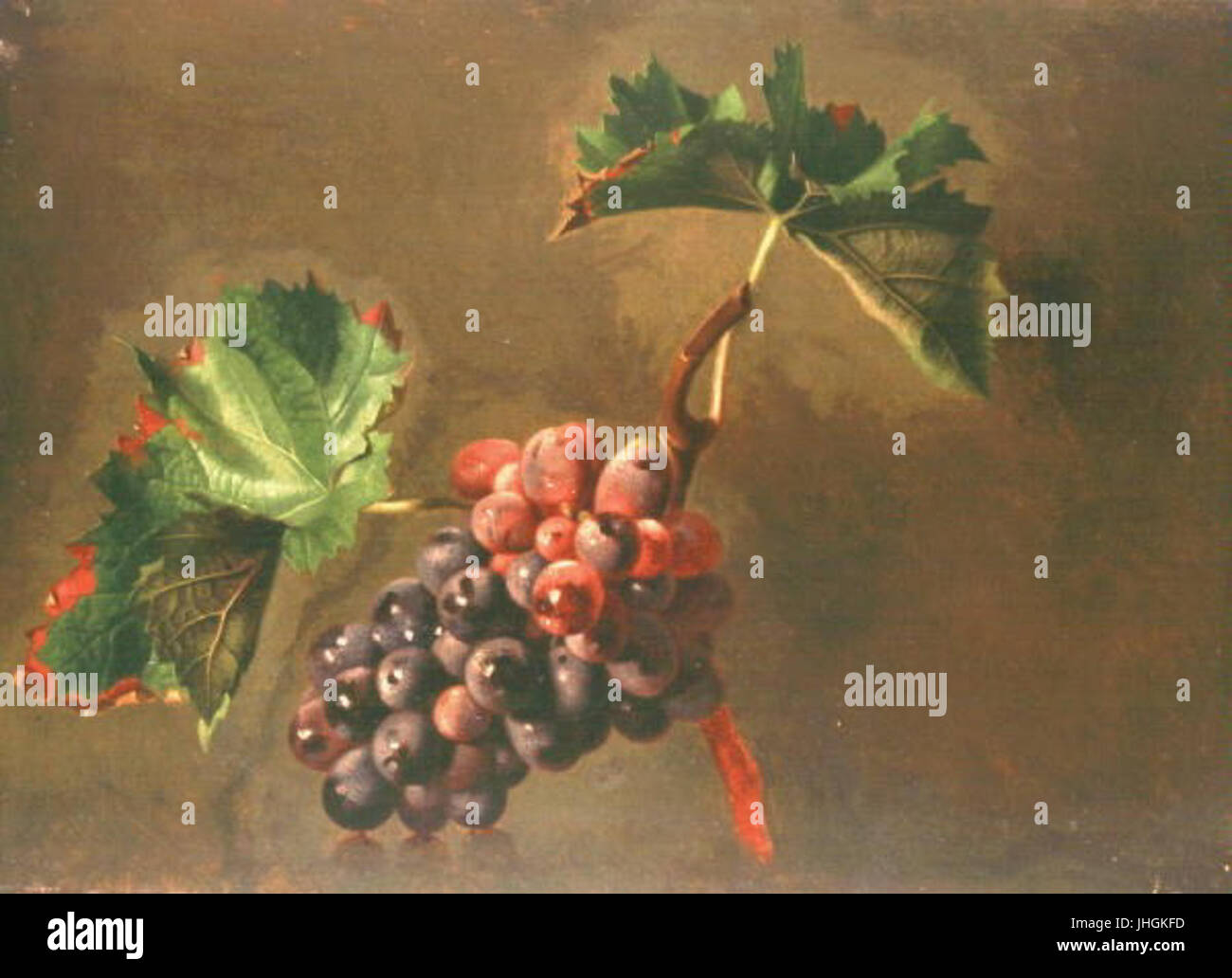 Josef Navratil 1798-1865 - Hrozen vina s vetevkou Stock Photo - Alamy
