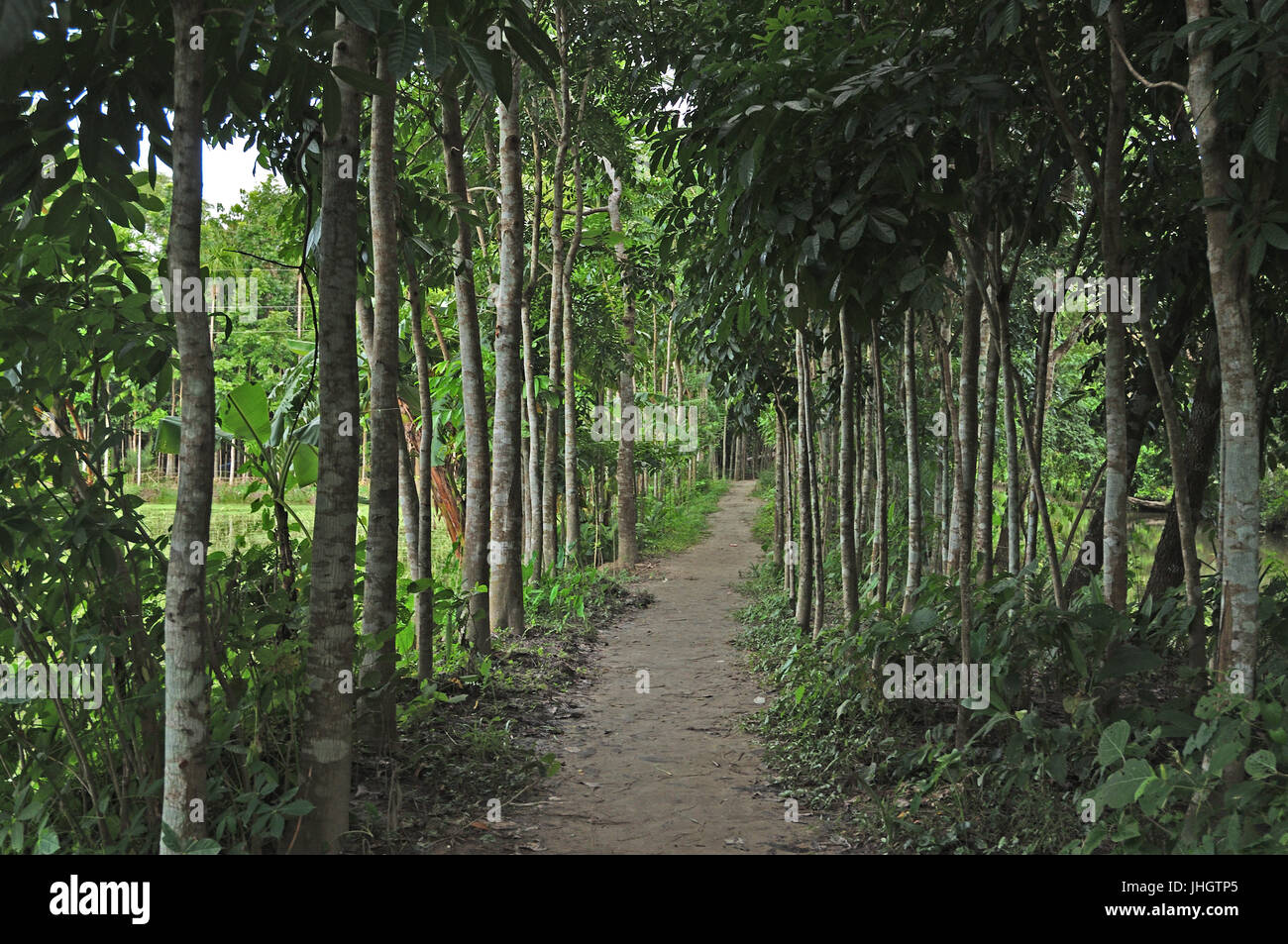 A Long Trail Stock Photo - Alamy