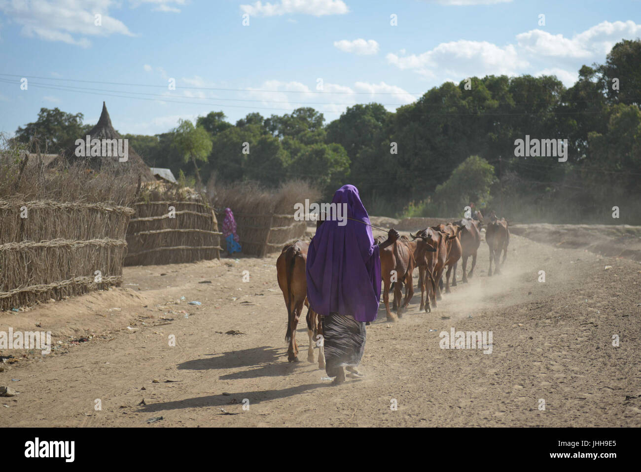 Mahaday hi-res stock photography and images - Alamy