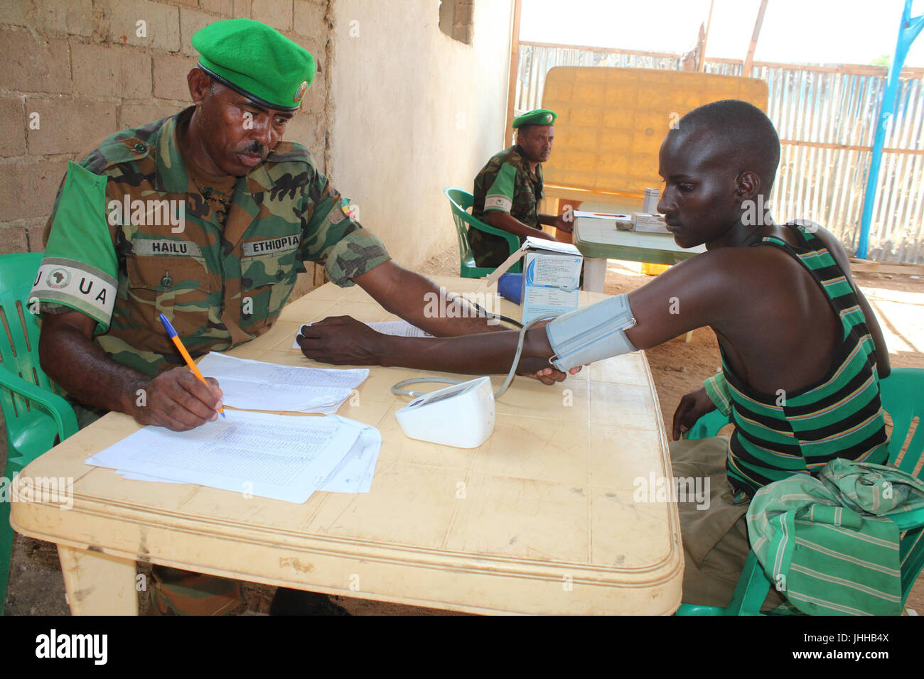 Vetting art hi-res stock photography and images - Alamy