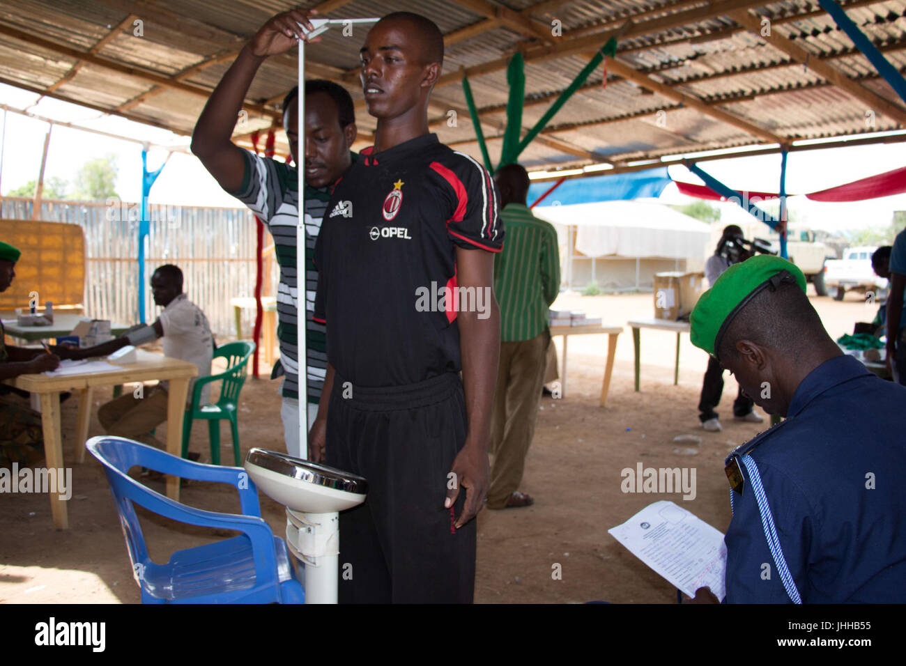 Vetting art hi-res stock photography and images - Alamy