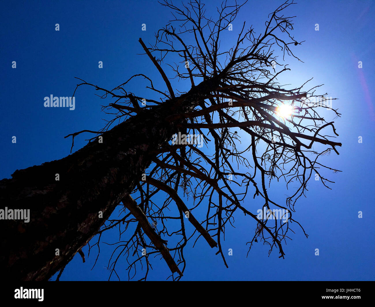 Noon sun hi-res stock photography and images - Alamy