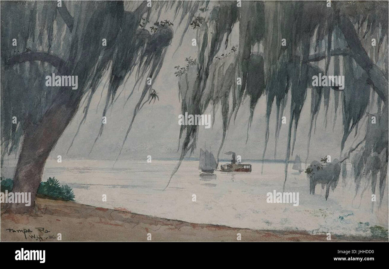 Winslow homer florida hi-res stock photography and images - Alamy