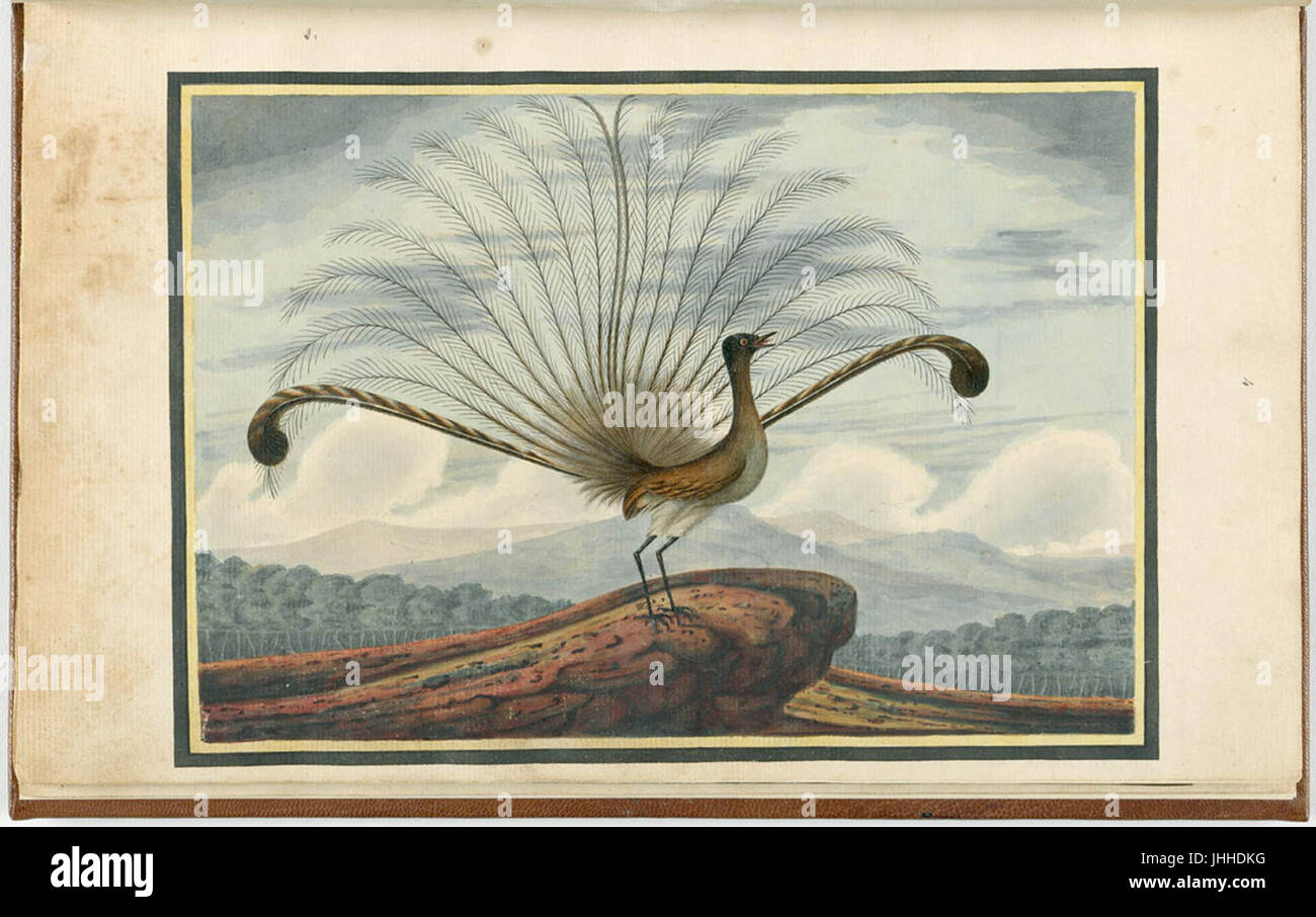 Convict art hi-res stock photography and images - Alamy