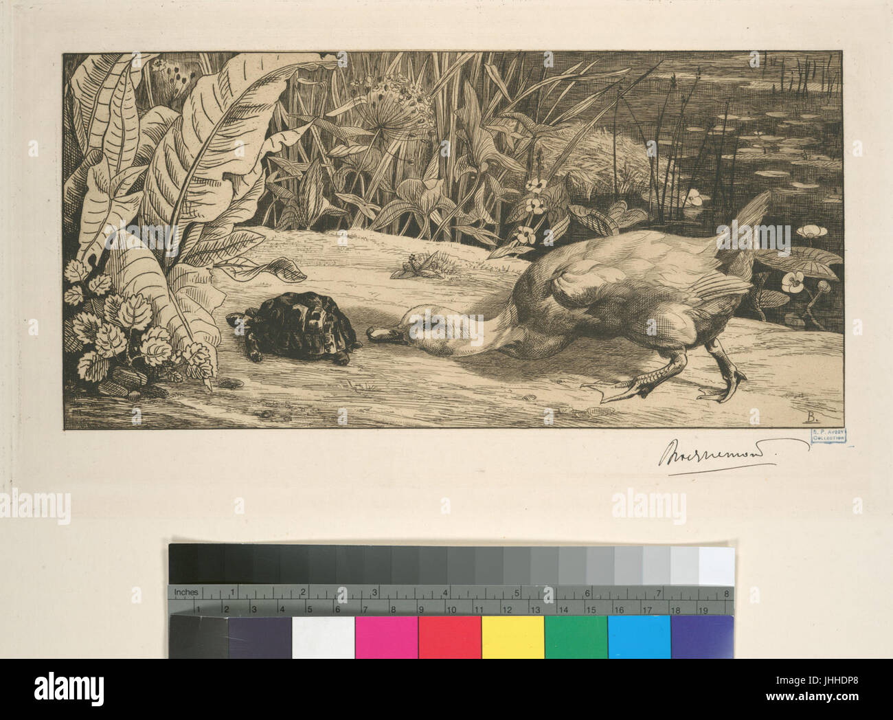 Linconnu hi-res stock photography and images - Alamy