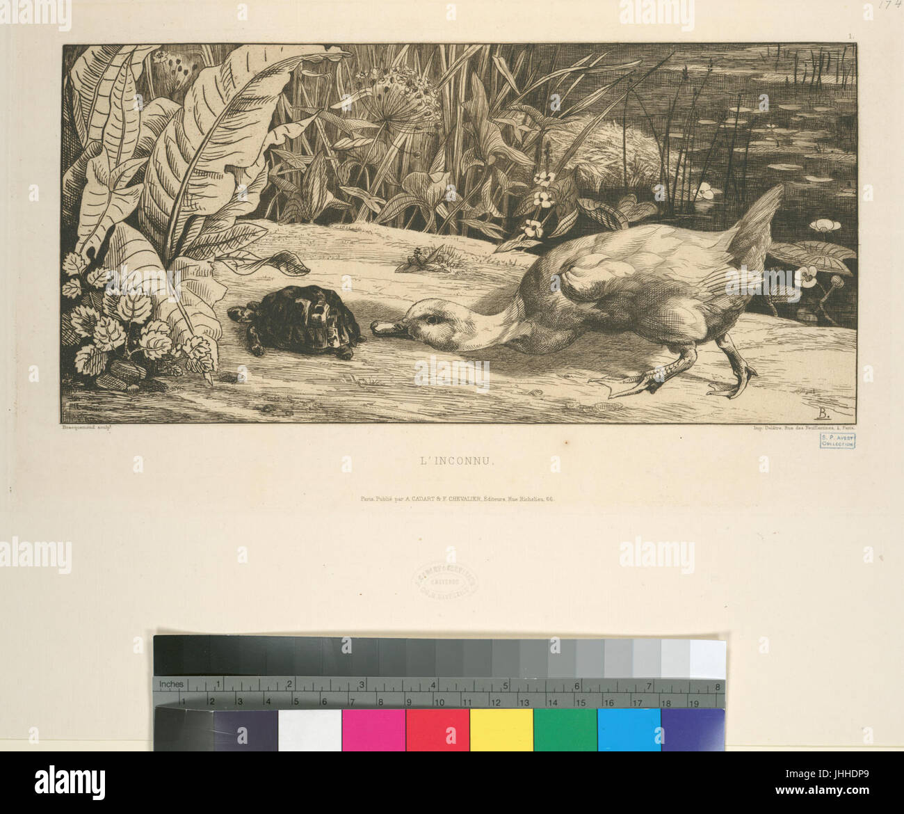 Linconnu hi-res stock photography and images - Alamy