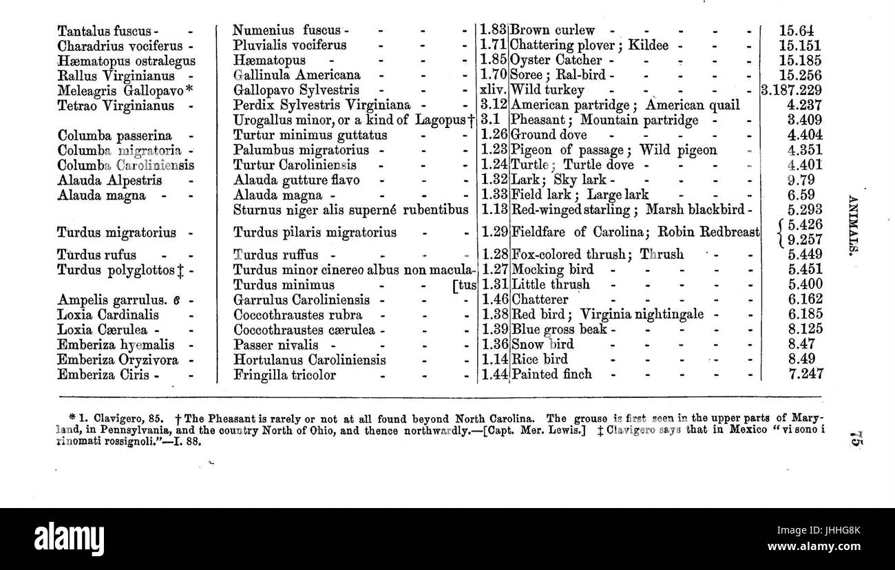 U notes Cut Out Stock Images & Pictures - Alamy