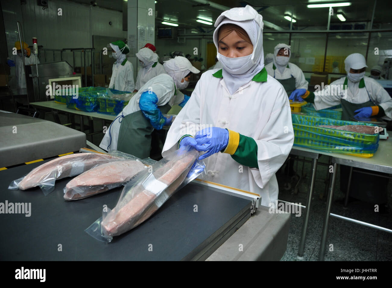 Jakarta, Indonesia - June 5, 2017: Workers are packing tuna with ...