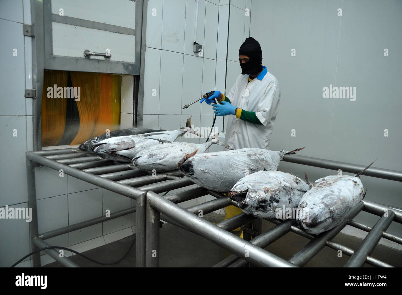 Jakarta, Indonesia - June 5, 2017: Workers are spraying tuna with water ...