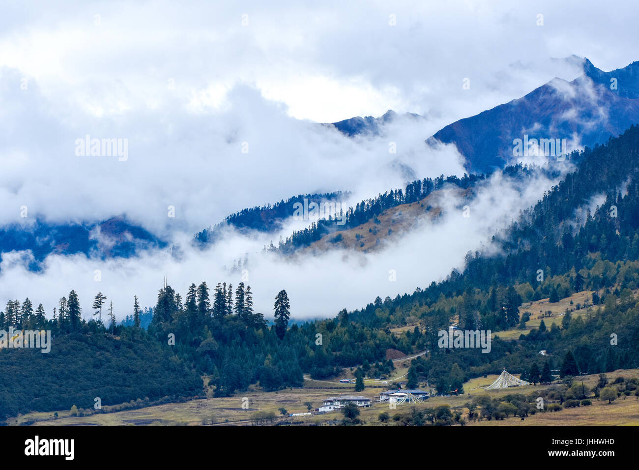 Sky tibet tree hi-res stock photography and images - Alamy