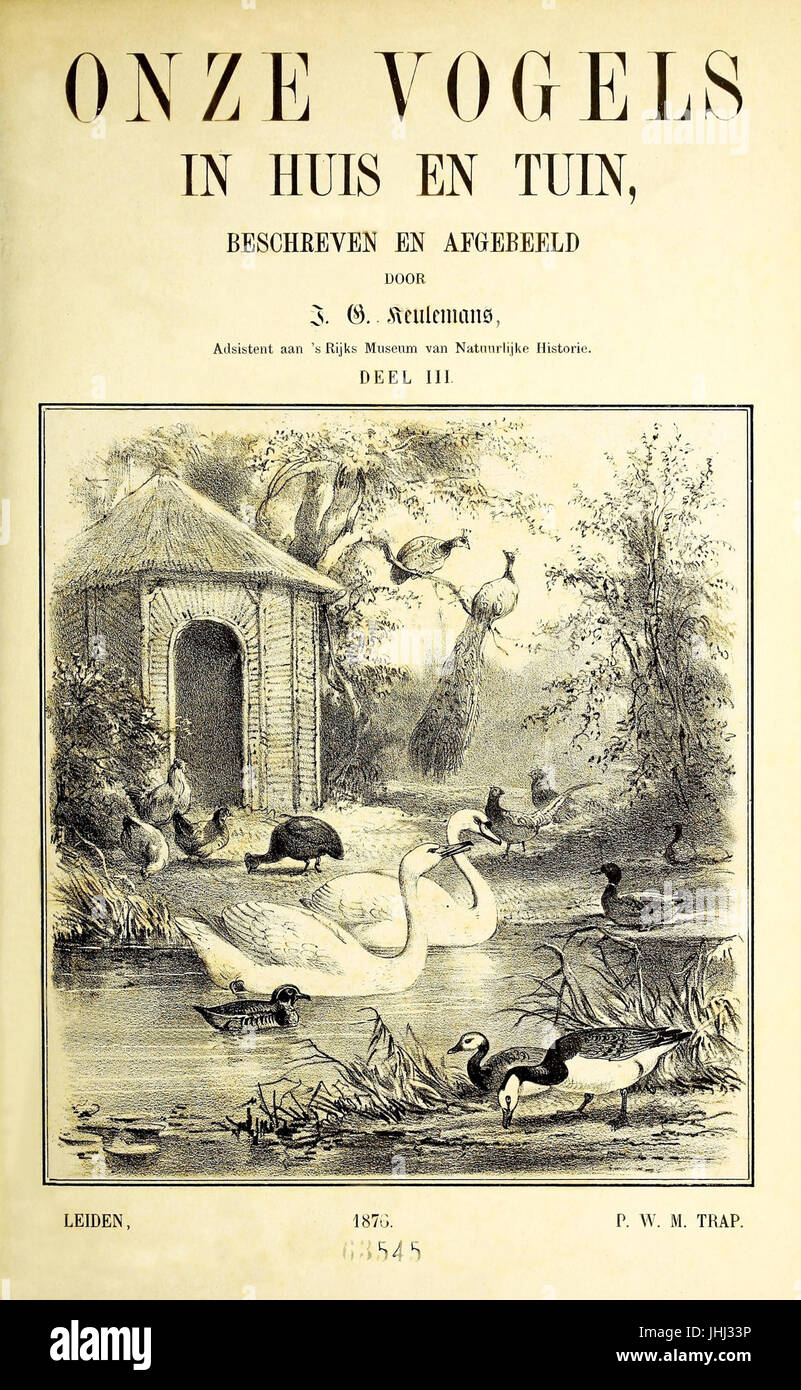 Keulemans Onze vogels 3 00 Stock Photo - Alamy