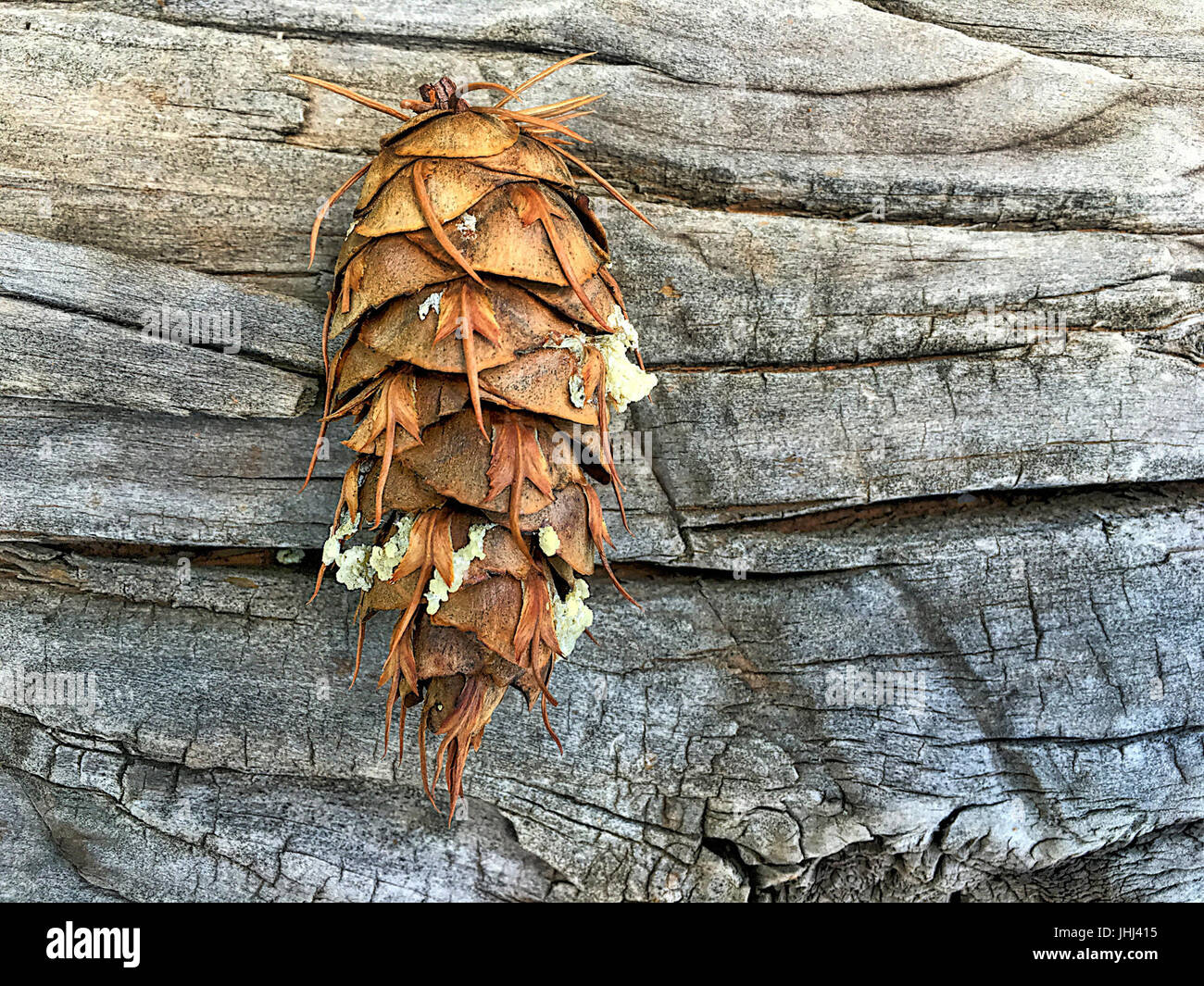 Orthogonal drawing hi-res stock photography and images - Alamy