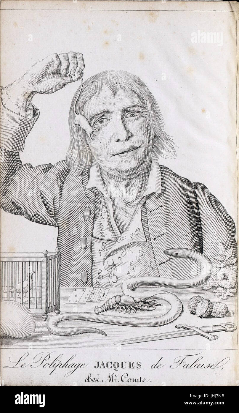 Le polyphage Jacques de Falaise Stock Photo - Alamy