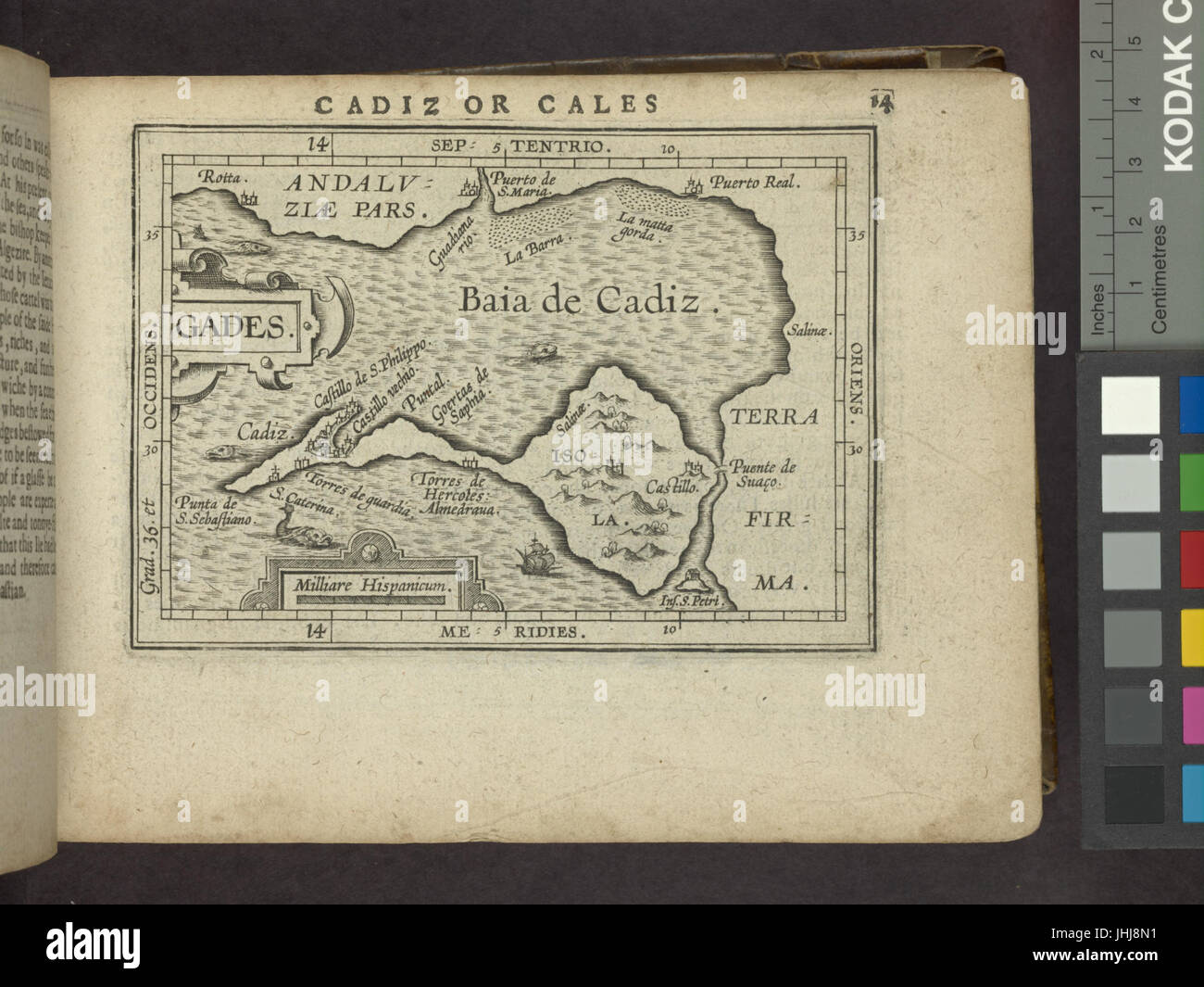 Gades hi-res stock photography and images - Alamy