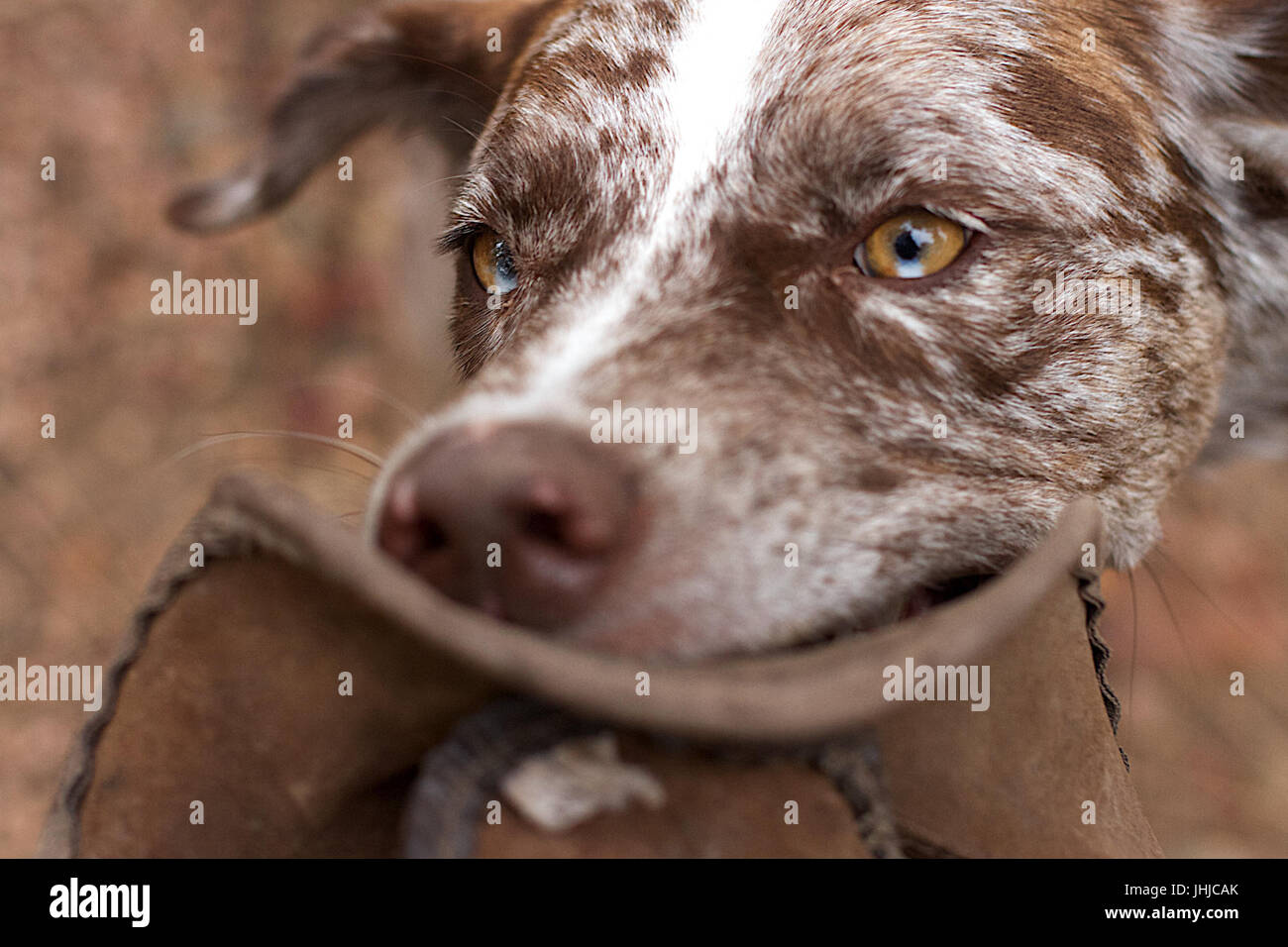 Mighty sports hi-res stock photography and images - Alamy