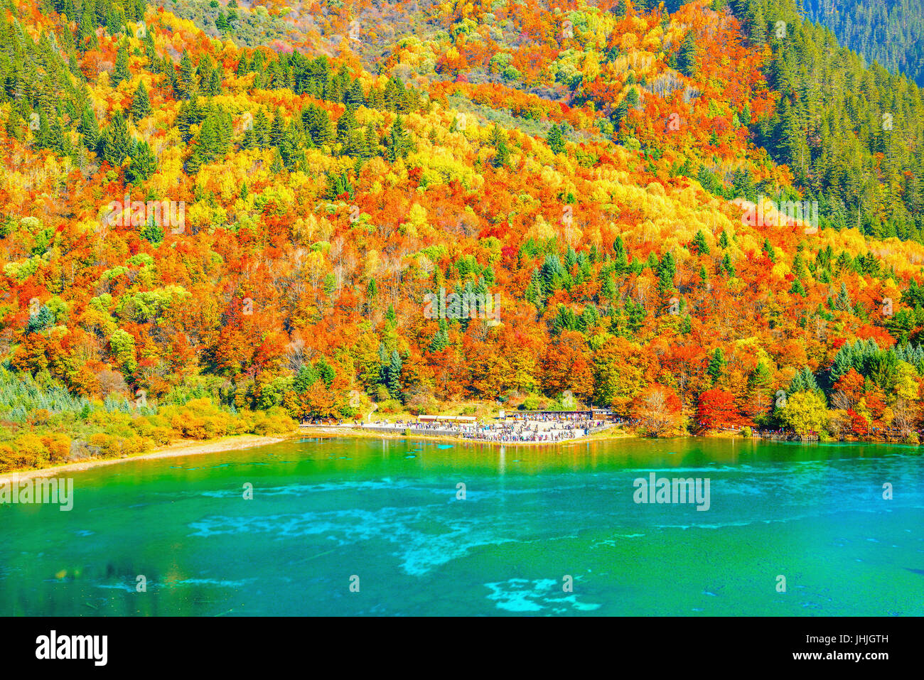 Aerial view of Five Flower Lake at autumn sunrise time. Jiuzhaigou ...