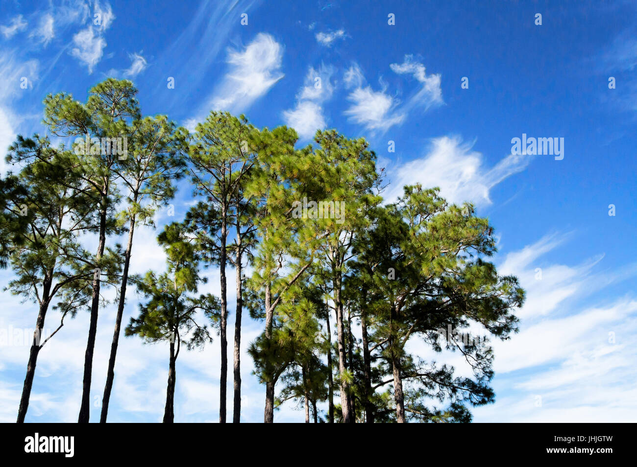 Blue sky with clouds backgr hi-res stock photography and images - Alamy