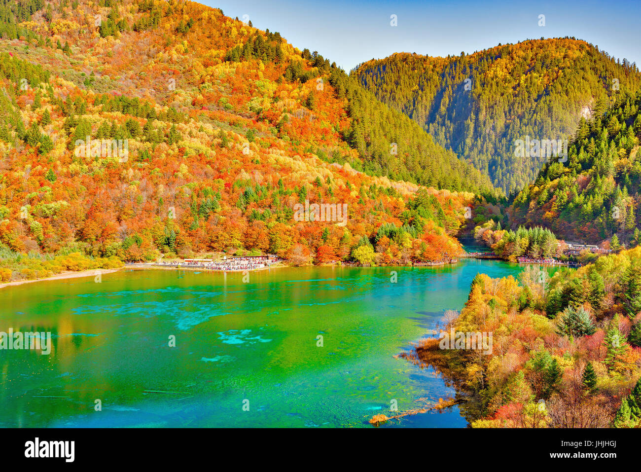 Aerial view of Five Flower Lake at autumn sunrise time. Jiuzhaigou ...