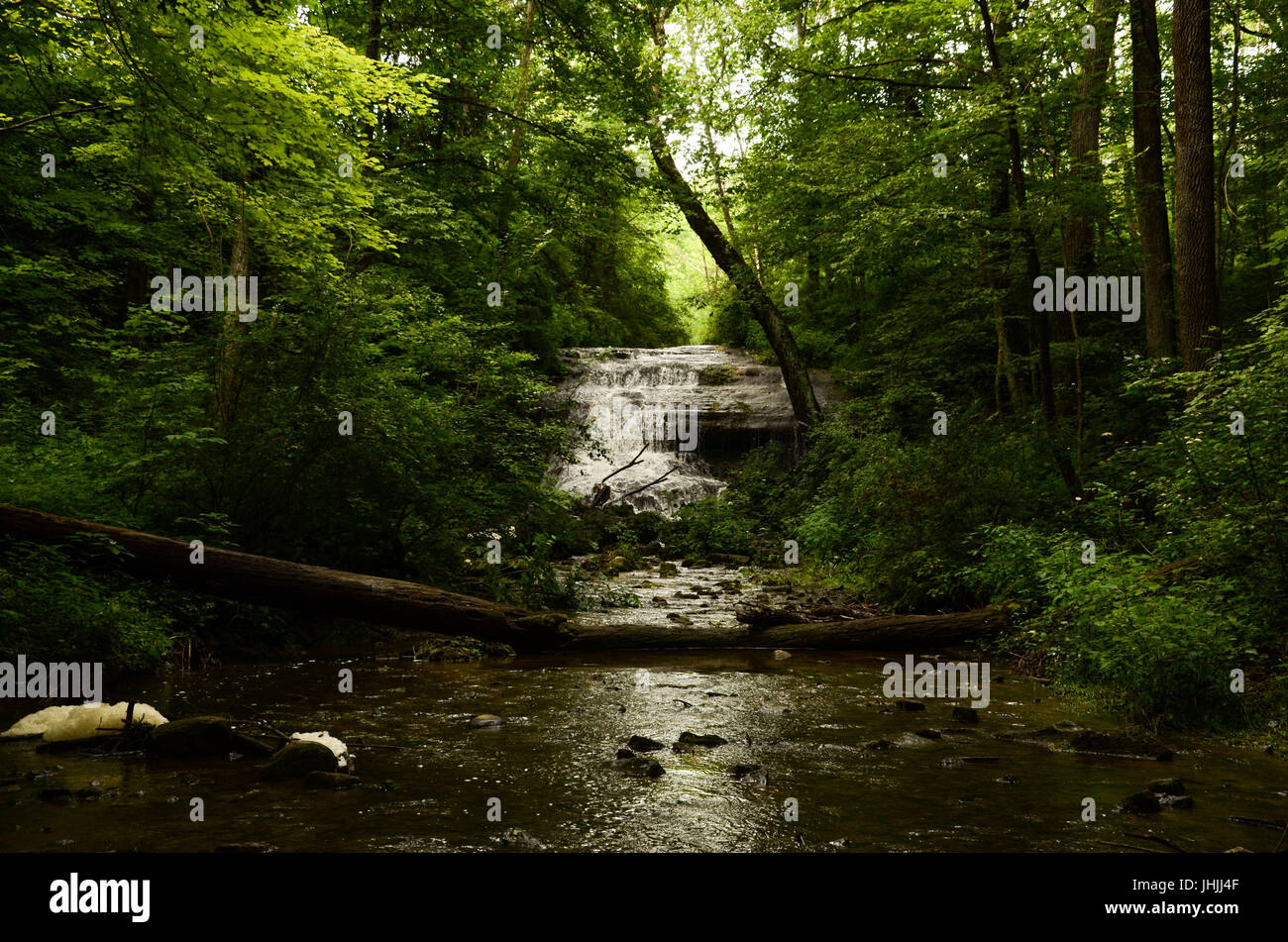 Waterfall in the Woods Stock Photo - Alamy