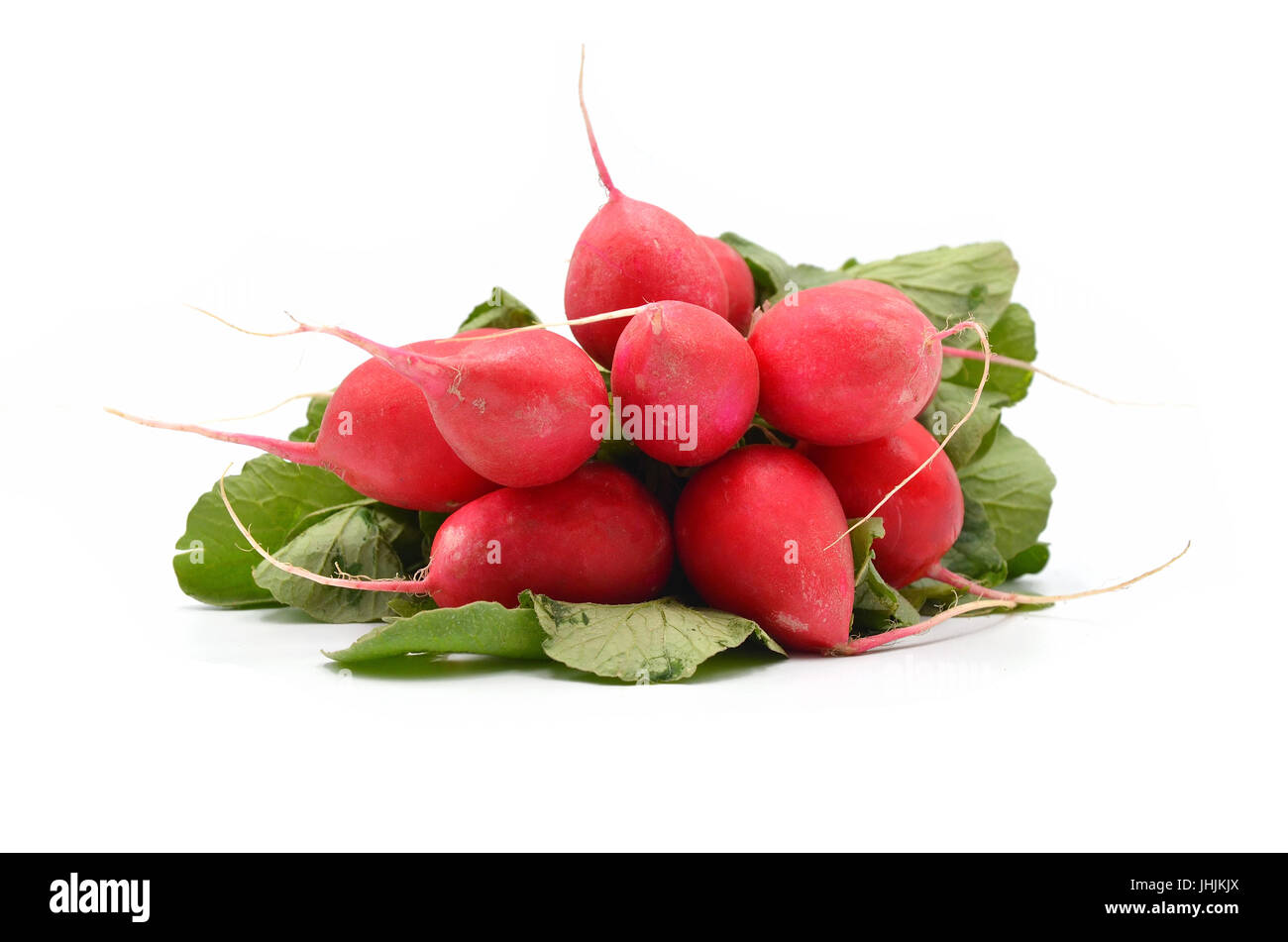 radishes on white background Stock Photo - Alamy