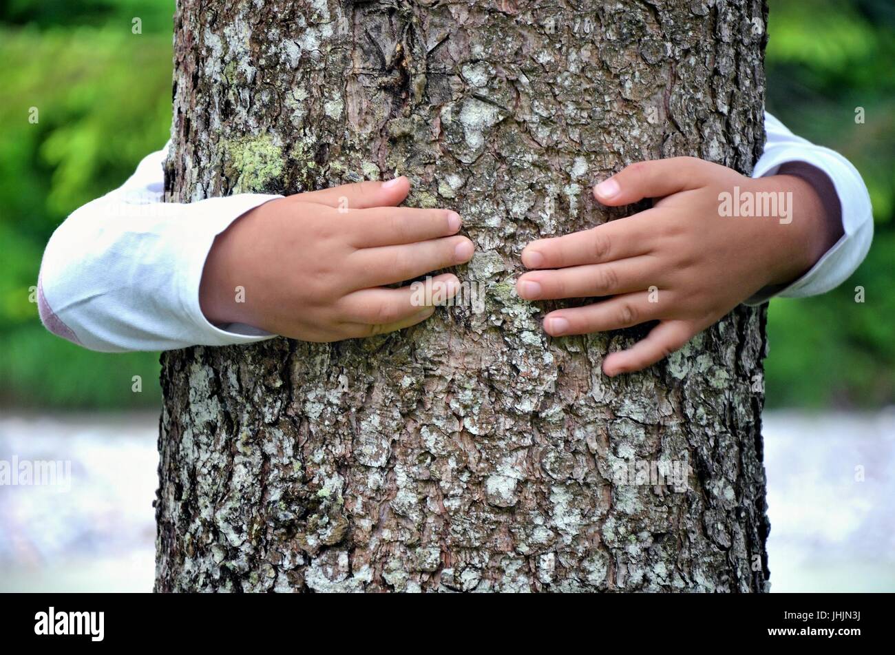 child hands on tree Stock Photo - Alamy