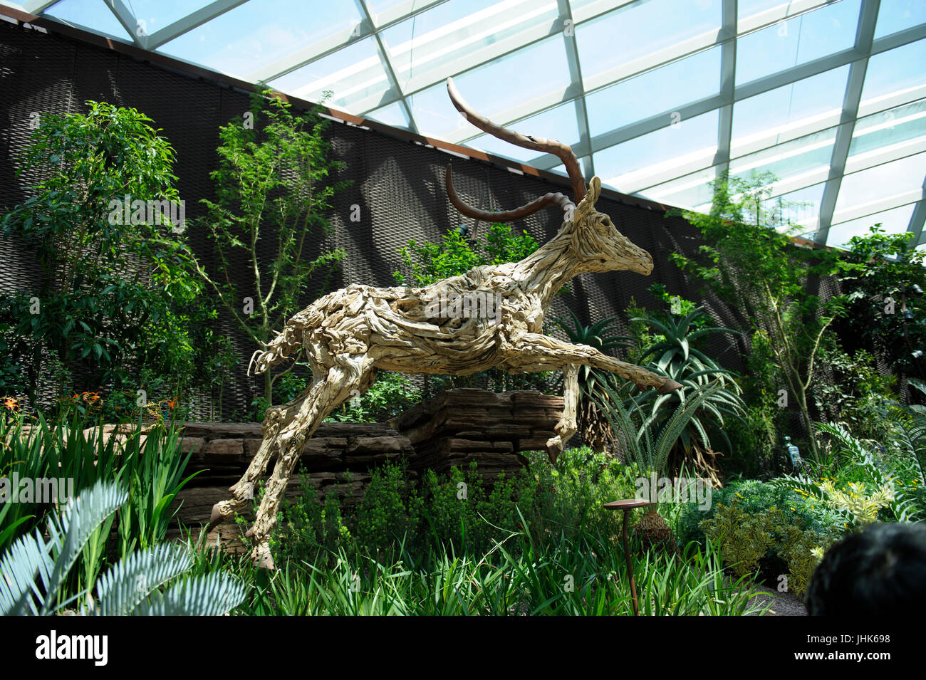 Springbok carving hi-res stock photography and images - Alamy