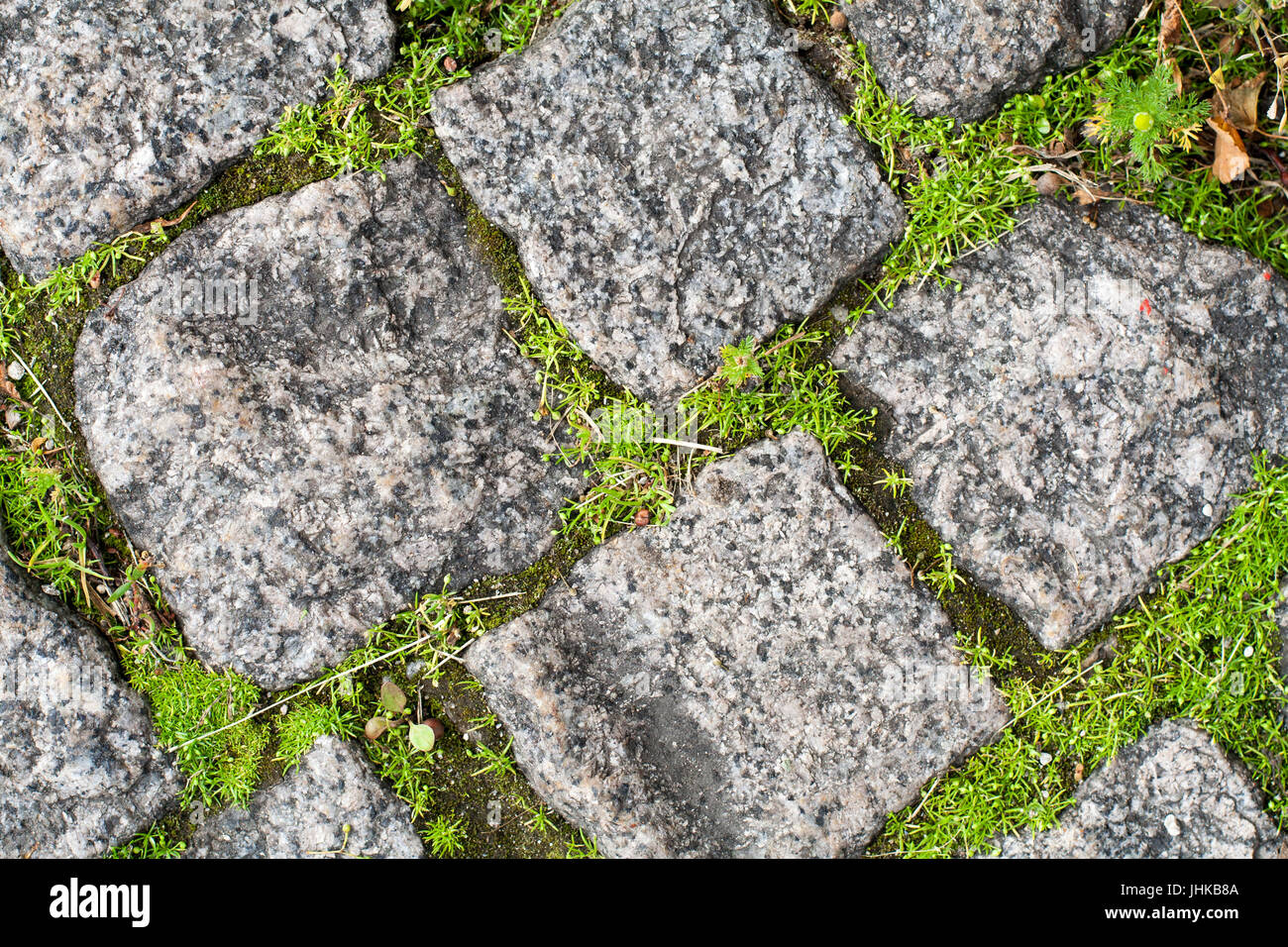stone bricks with grass and moss Stock Photo - Alamy