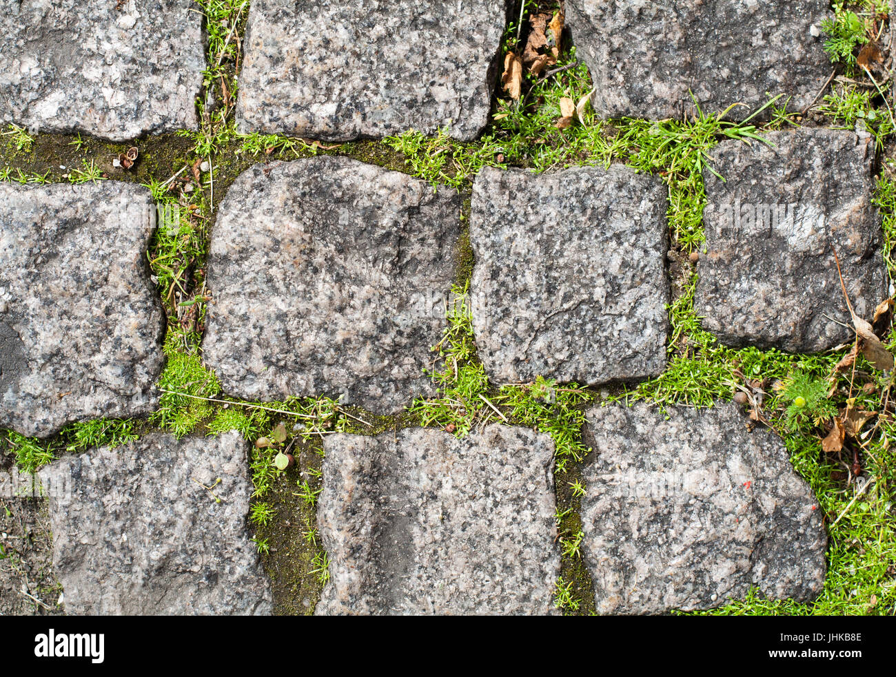 Paving of grass and bricks hi-res stock photography and images - Alamy