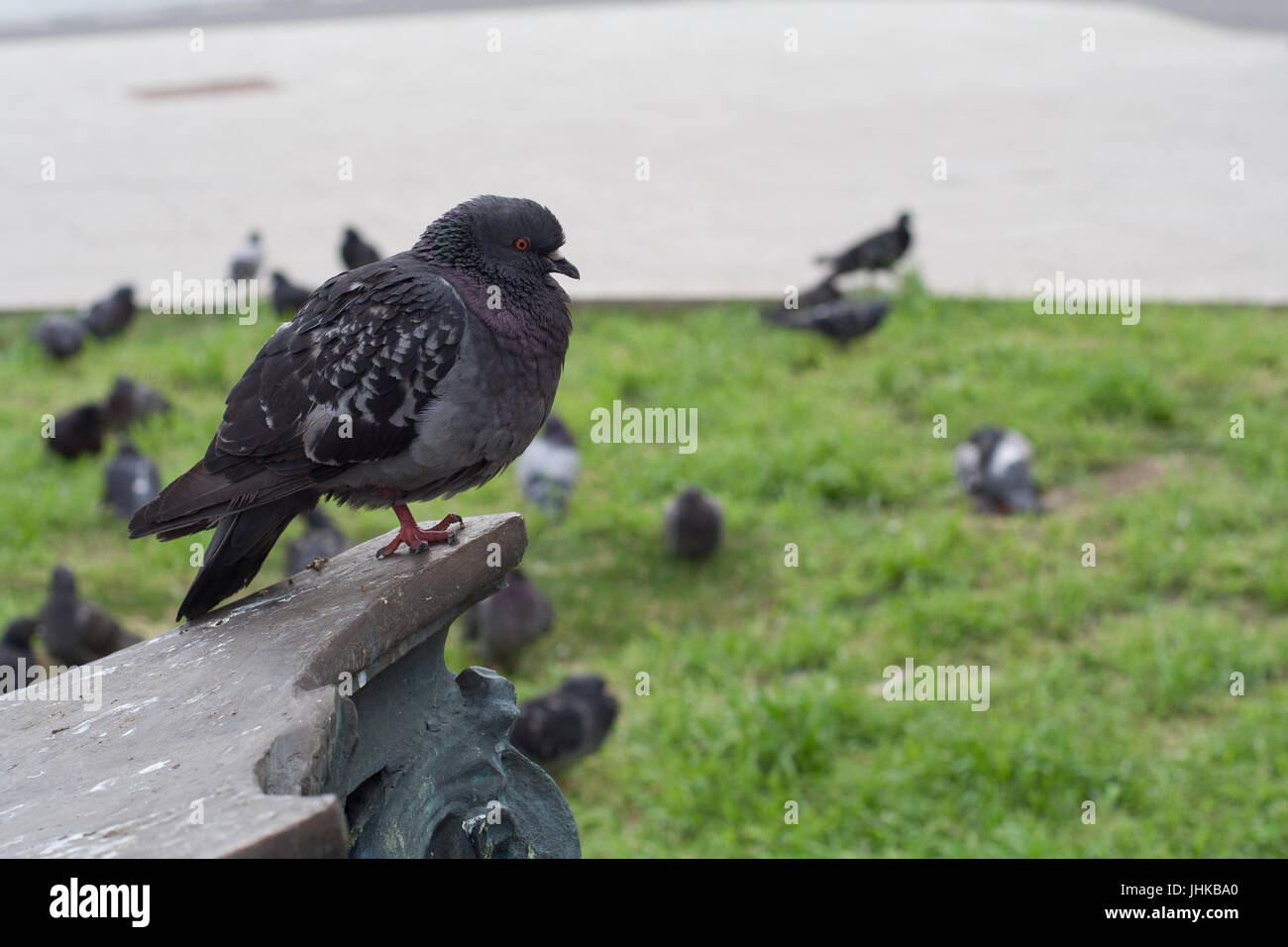 Iron column hi-res stock photography and images - Alamy