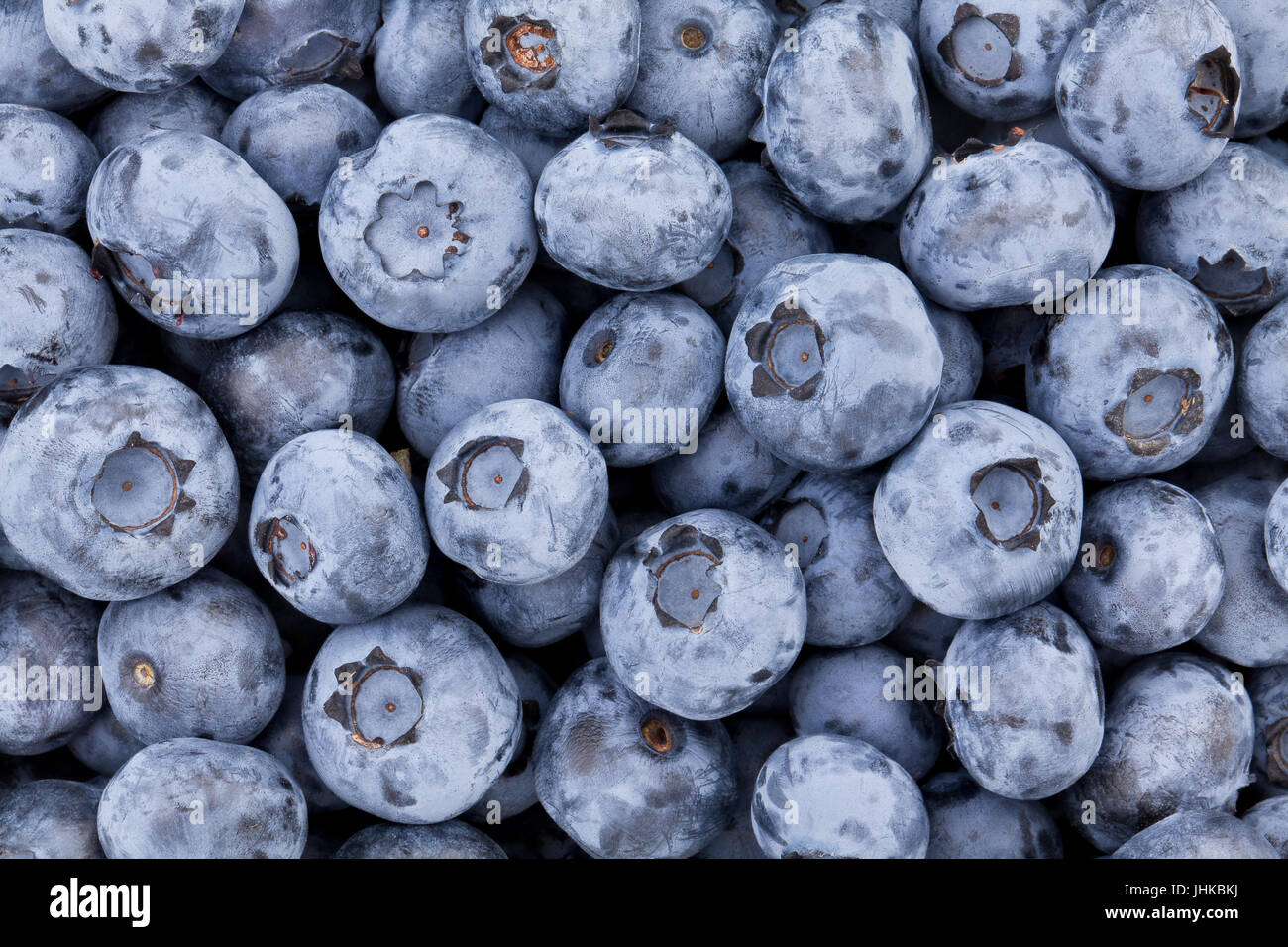 blueberries background texture Stock Photo - Alamy