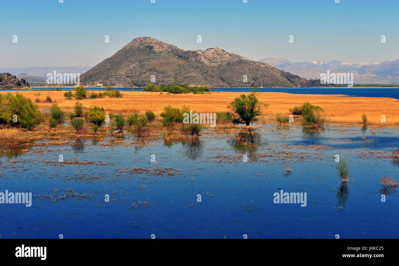 Amazing view of Skadar lake, Montenegro Stock Photo - Alamy