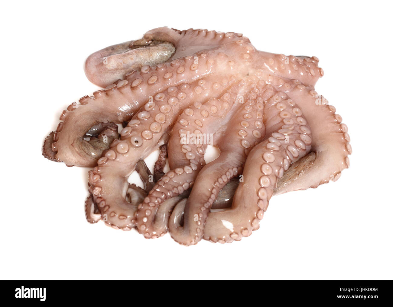 Raw Octopus. Isolated on a white background Stock Photo - Alamy