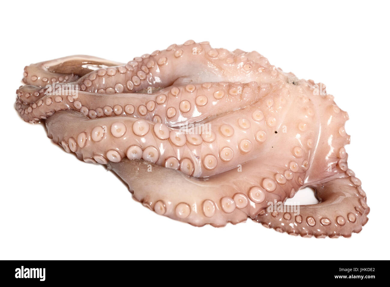 Raw Octopus. Isolated on a white background Stock Photo - Alamy