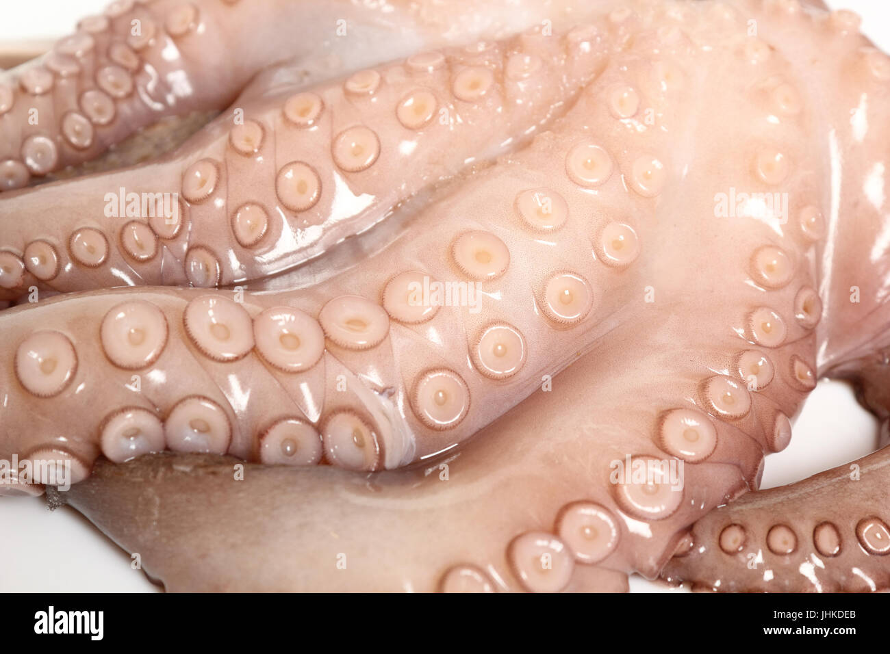 Raw Octopus. Isolated on a white background. Macro Stock Photo - Alamy