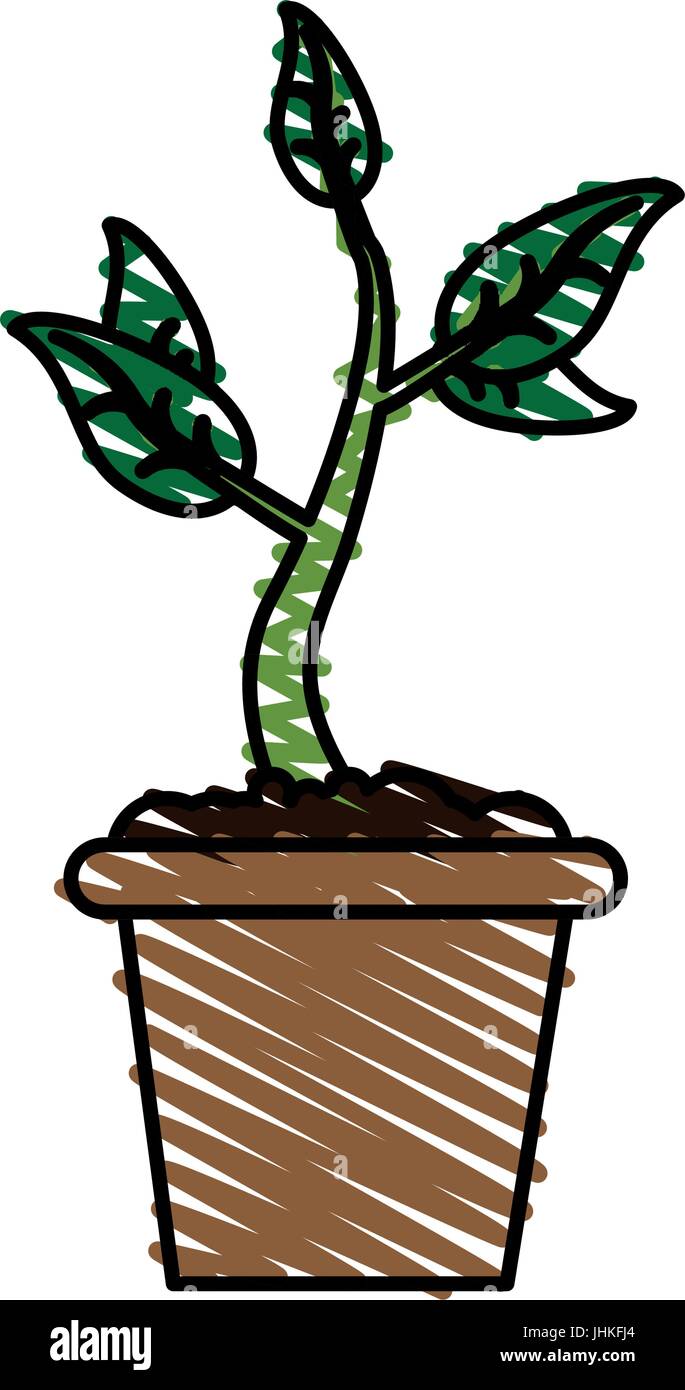 plant vector illustration Stock Vector Image & Art - Alamy