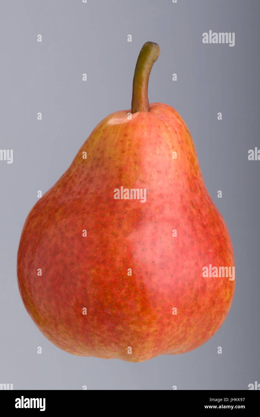 Ripe Red Pear on grey background, Studio shoot Stock Photo - Alamy