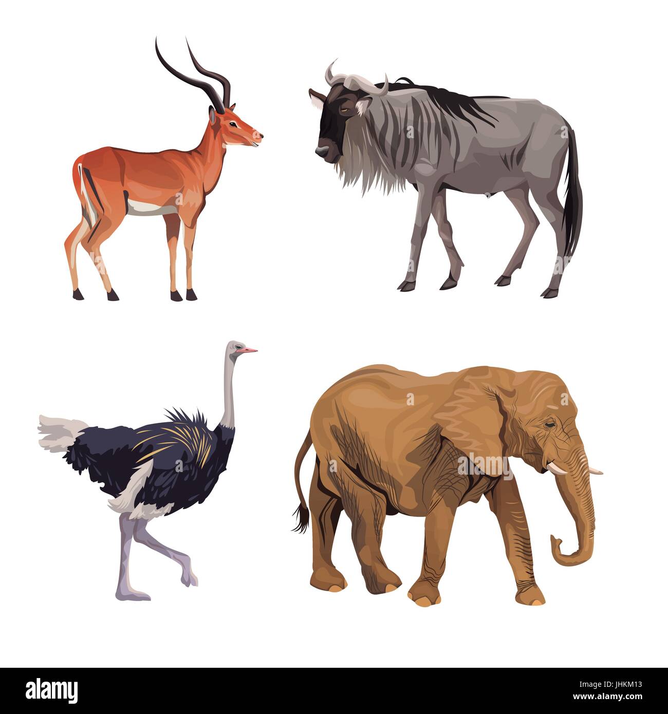 African deer species Stock Vector Images - Alamy