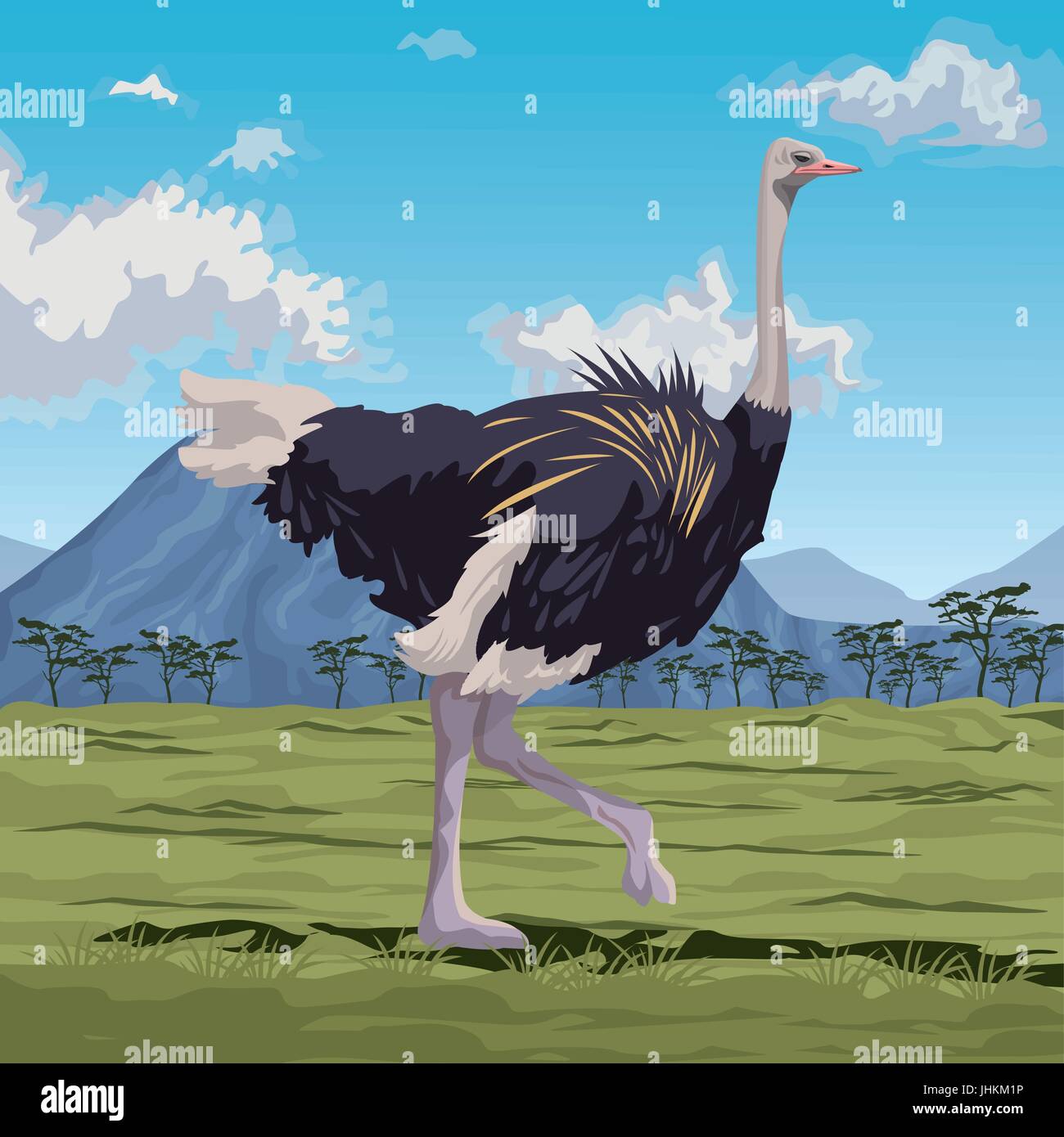 colorful scene african landscape with ostrich standing Stock Vector ...