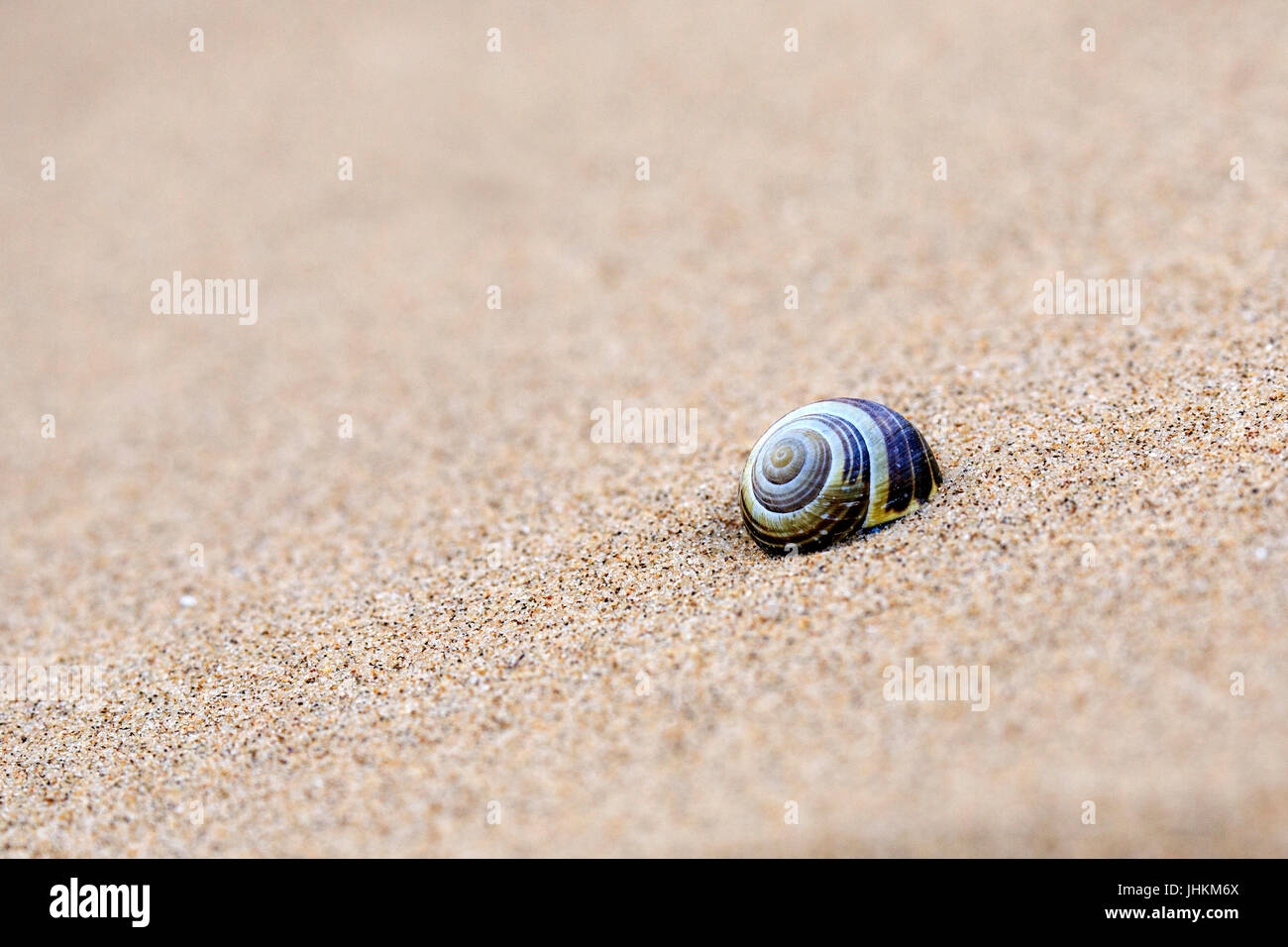 Shell technique hi-res stock photography and images - Alamy