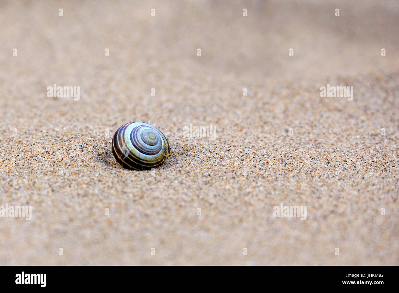 Shell technique hi-res stock photography and images - Alamy