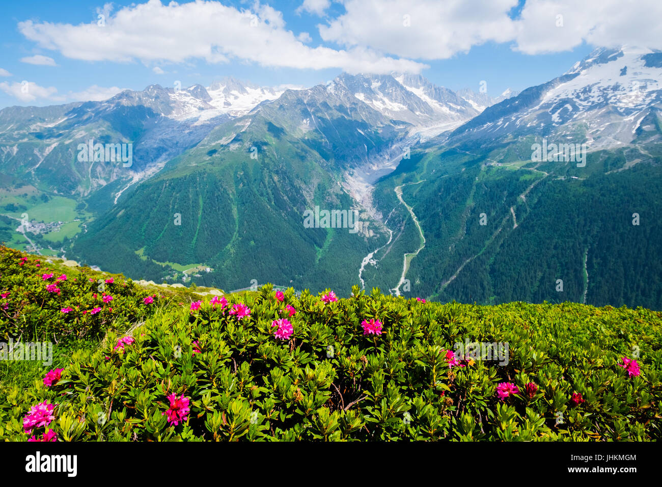 Mont blanc range spring flower hi-res stock photography and images - Alamy