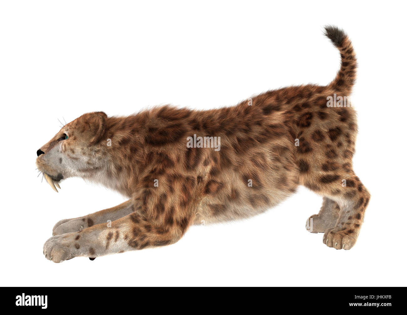 Saber tooth tiger hunting hi-res stock photography and images - Alamy