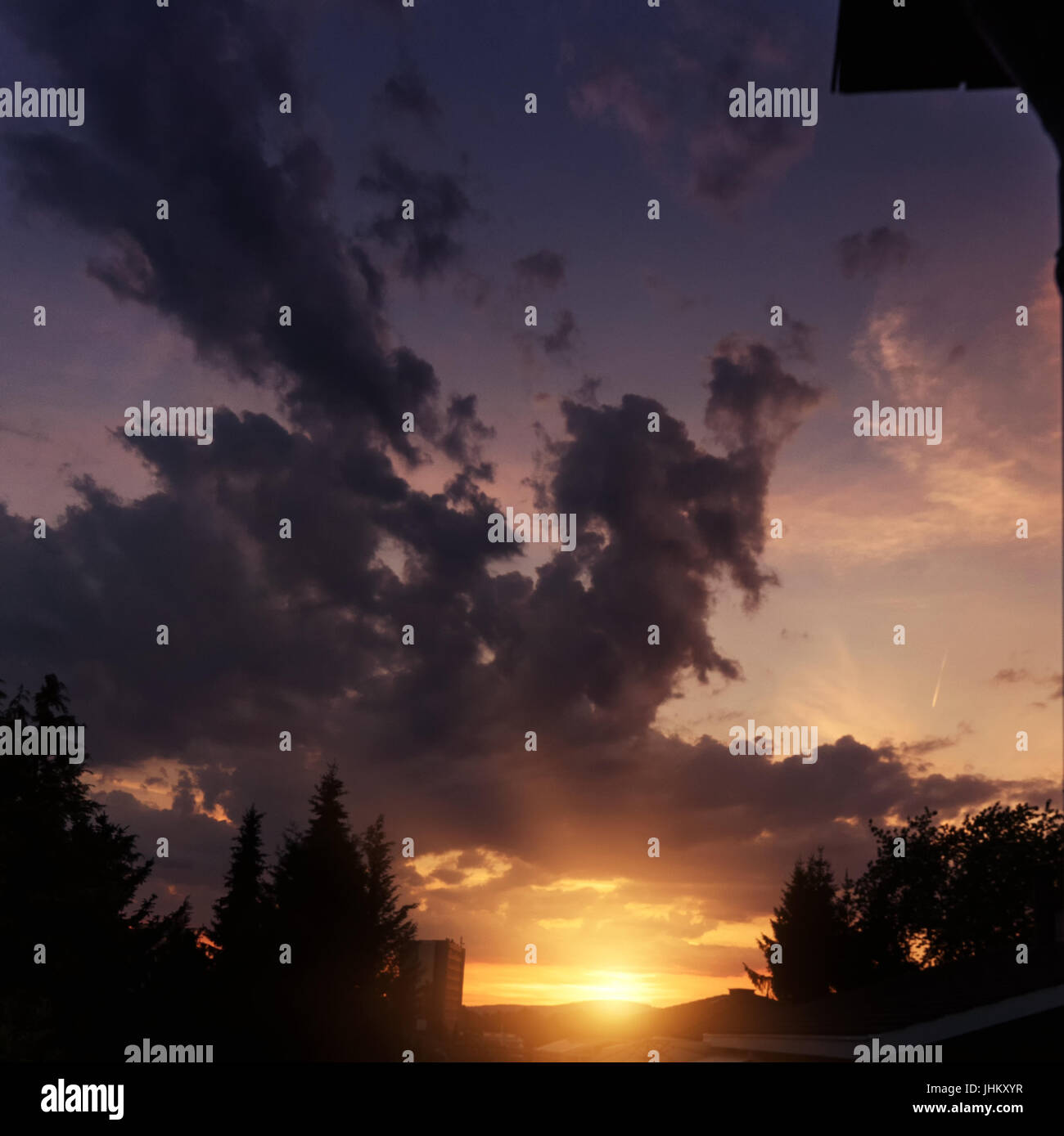 dramatic sky over shadow trees Stock Photo - Alamy